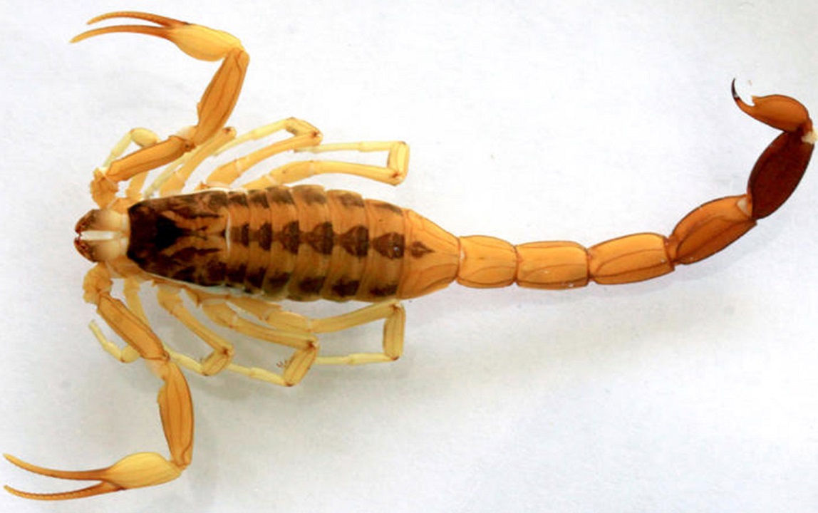 Ante la llegada del calor, Salud difundió recomendaciones para prevenir ...